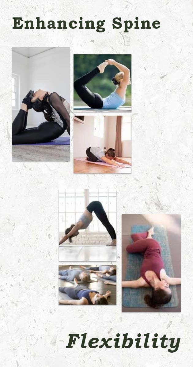 Yoga For Beginners Series – Spine Flexiblity For The Inflexi